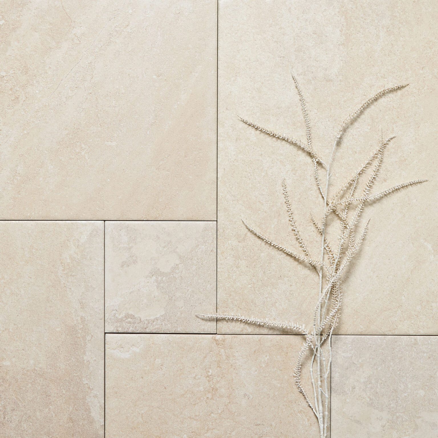 Tuffeau Dorado French Pattern - ColorTile