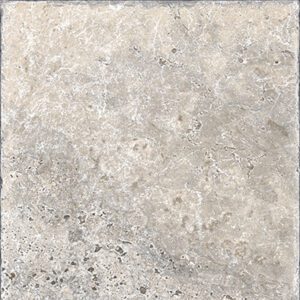 Aquitaine Silver French Pattern - ColorTile